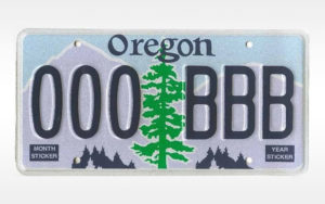 Best License Plates in the US - Carsforsale.com®
