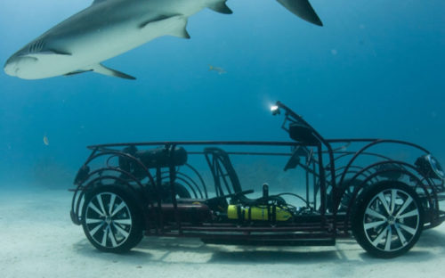 Shark-Inspired Vehicles - Carsforsale.com®