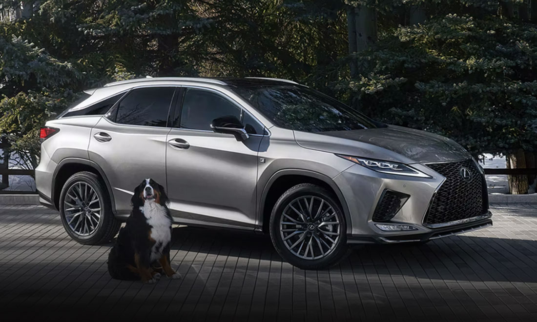 2022 Lexus RX Review - Carsforsale.com®