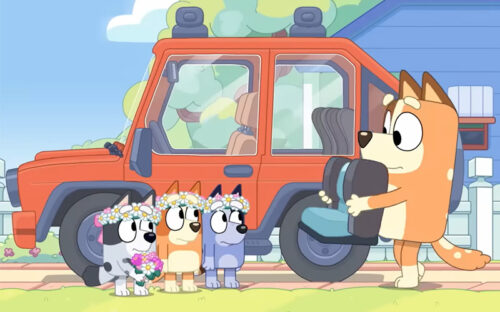 Exciting Australian Cars from Bluey - Carsforsale.com®